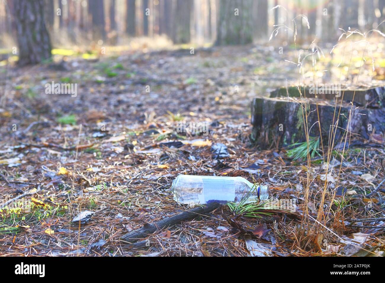 Plastic pollution forest hi-res stock photography and images - Alamy