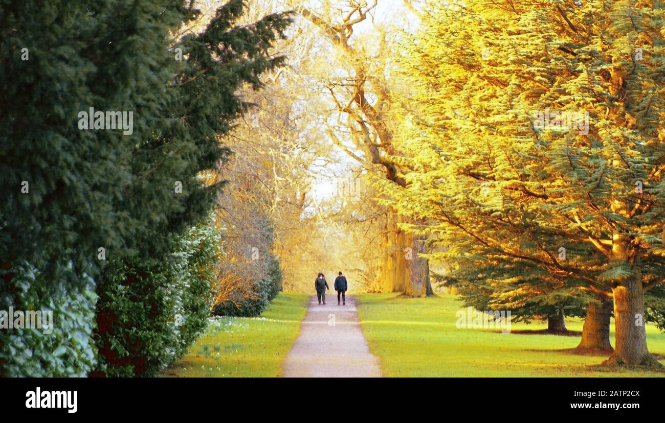 grounds of charlecote park stately home warwickshire ebgland uk Stock ...