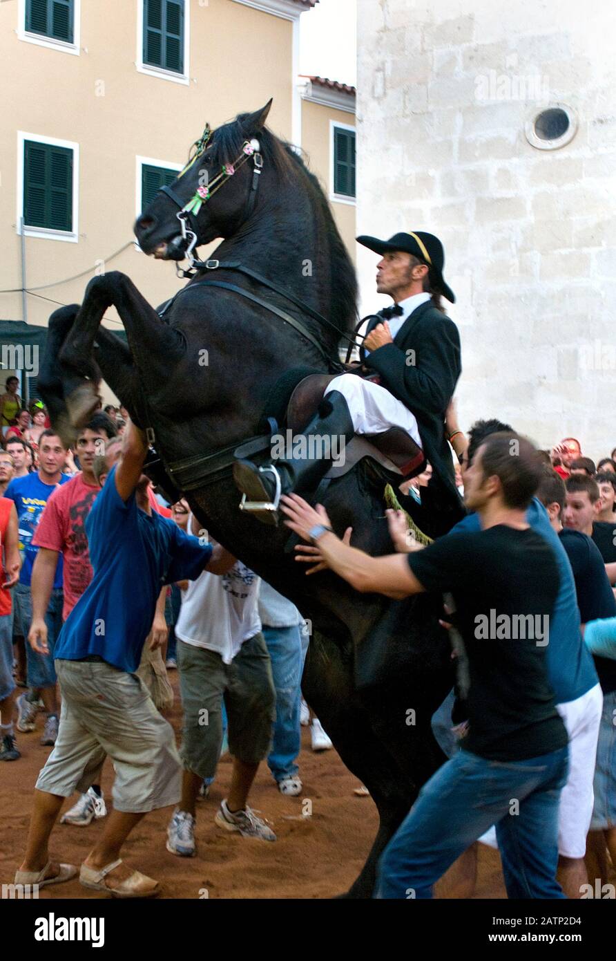 Leaping horse hi-res stock photography and images - Alamy