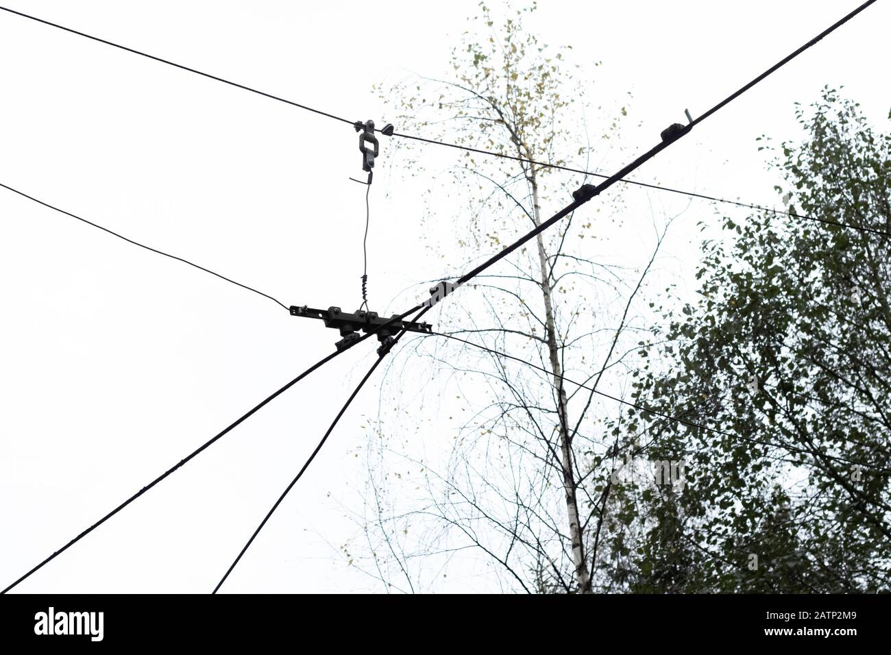 Wires for tram traffic against the sky and trees Stock Photo - Alamy