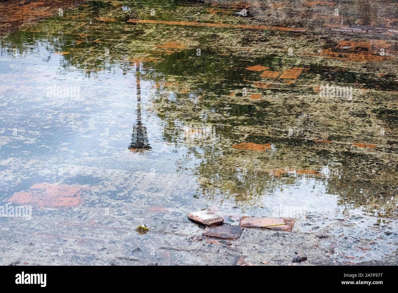Background from a puddle on paving slabs close up Stock Photo - Alamy