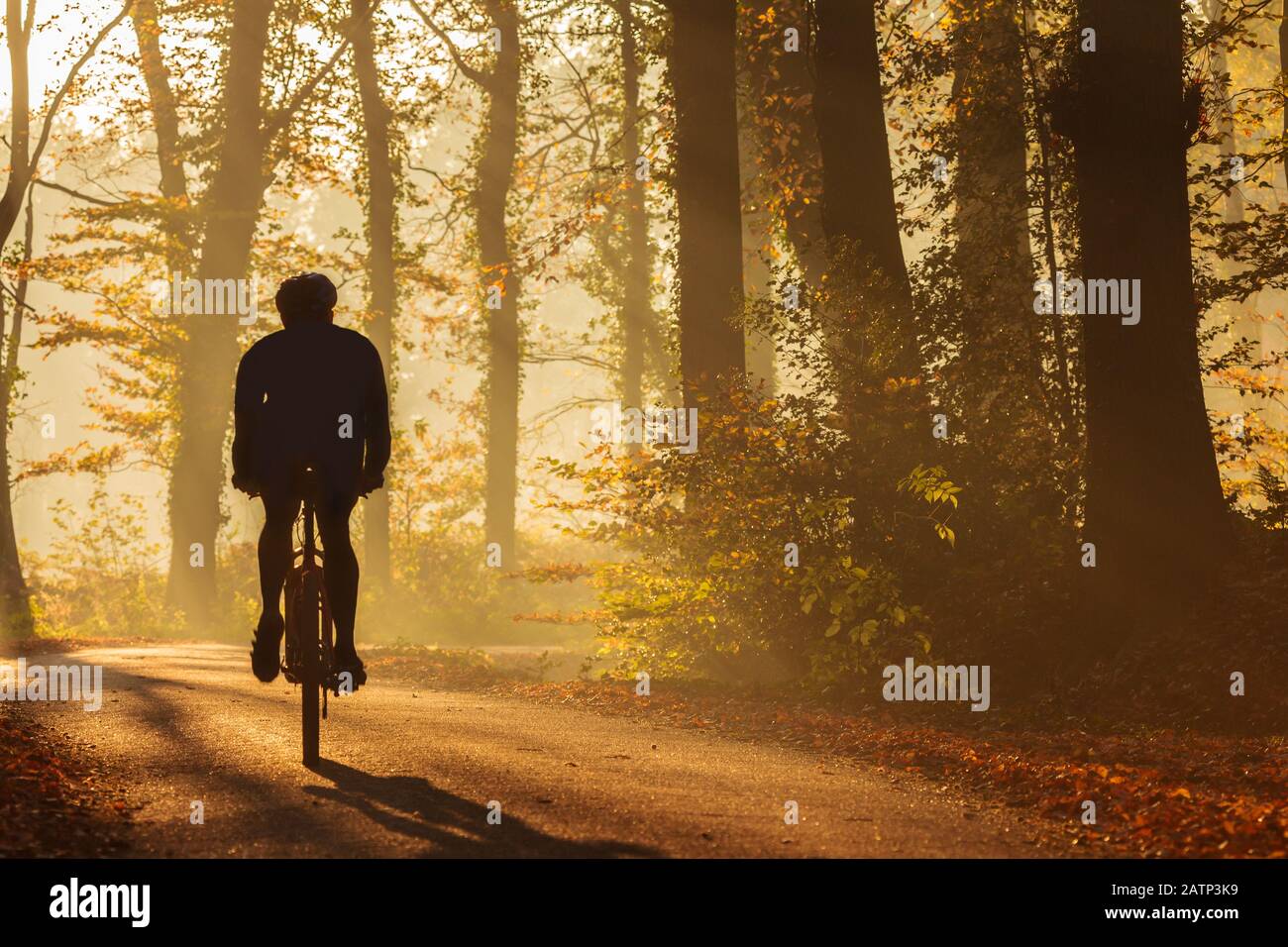 Biker cycle hi-res stock photography and images - Alamy