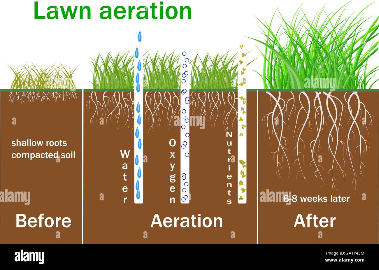 Garden steps grass lawn Stock Vector Images - Alamy