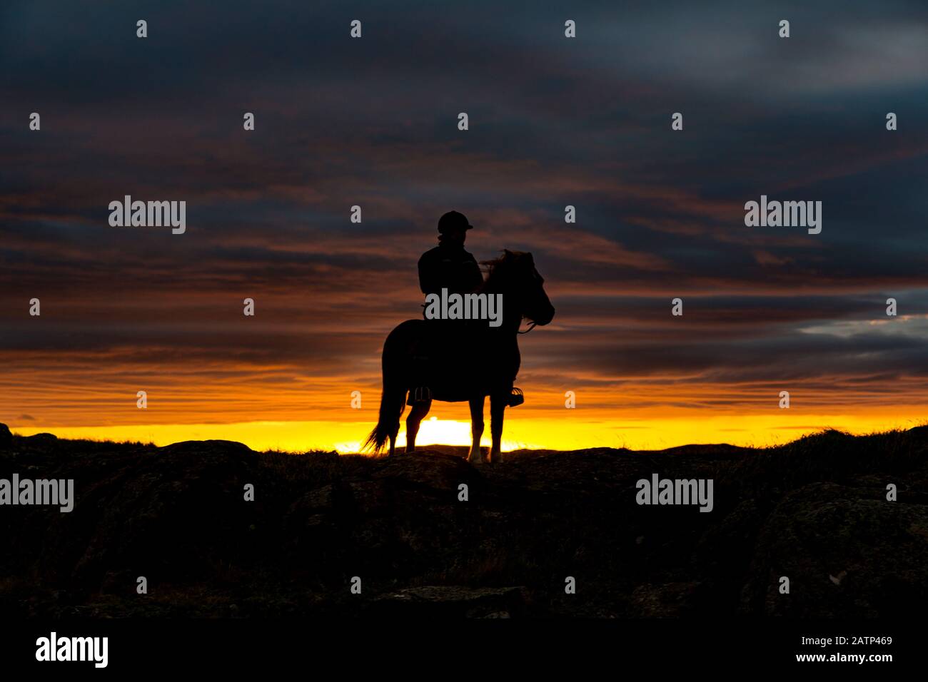 Man on a horse silhouette Stock Photo - Alamy