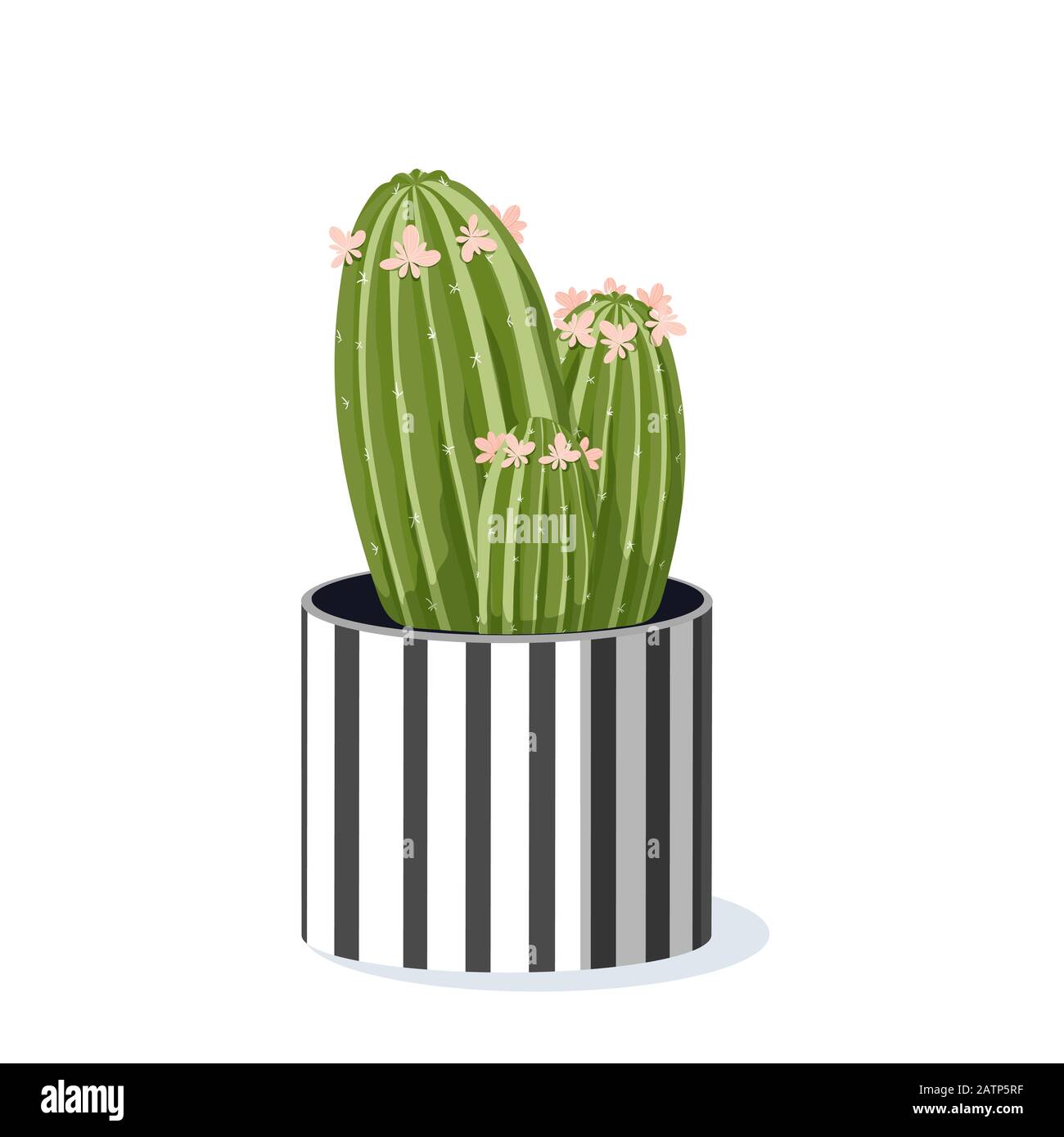Cactus in flower pot. Scandinavian style. Vector illustration in ...