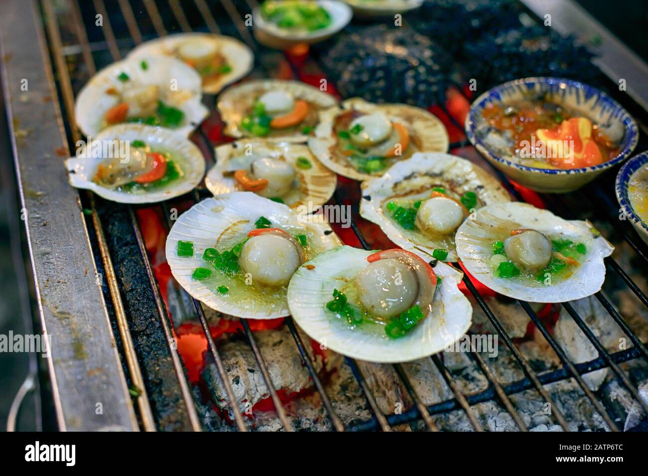 Scallops, commonly known as scallops, are a family of bivalve molluscs, closely related to clams ...