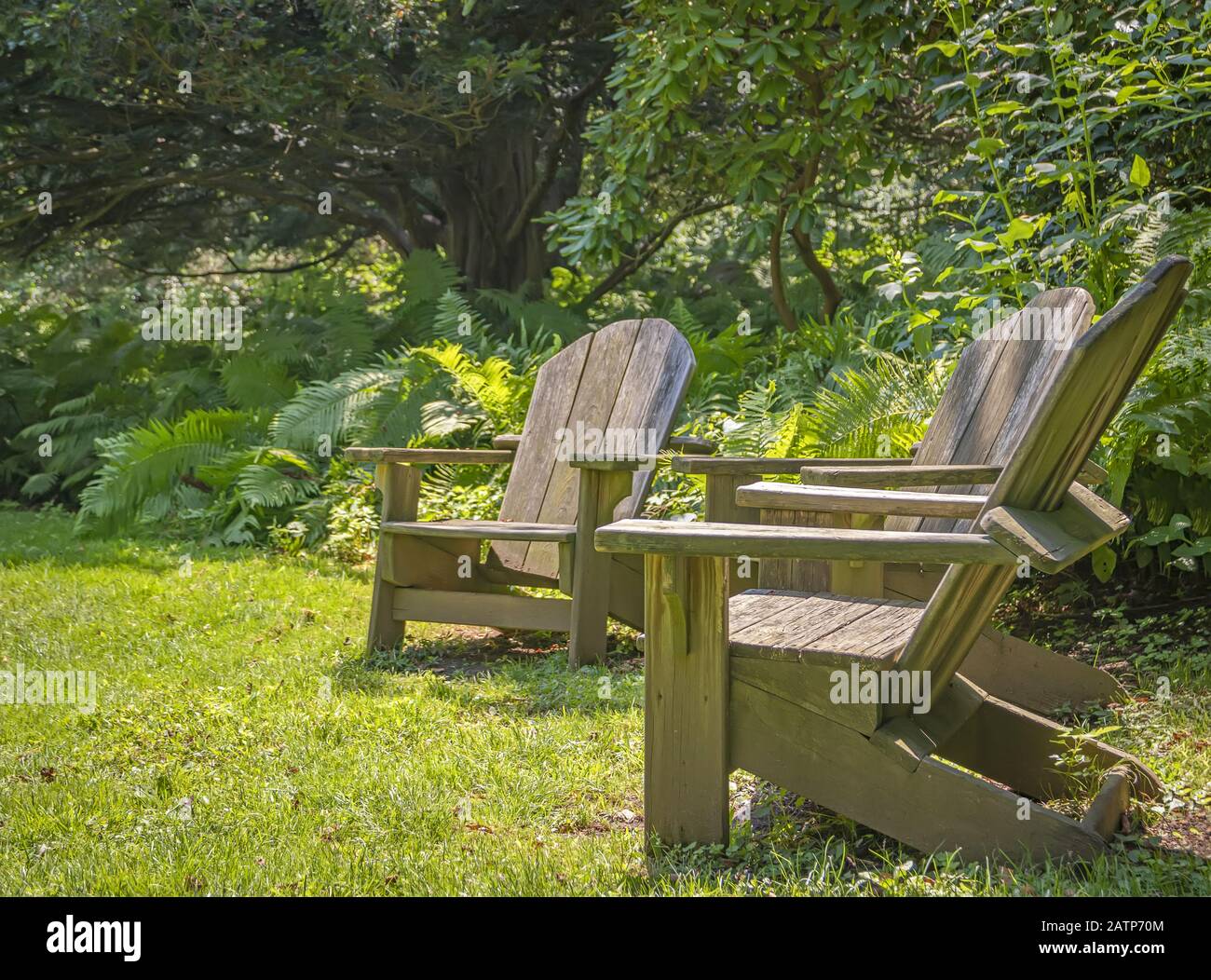 Tree charts hi-res stock photography and images - Alamy