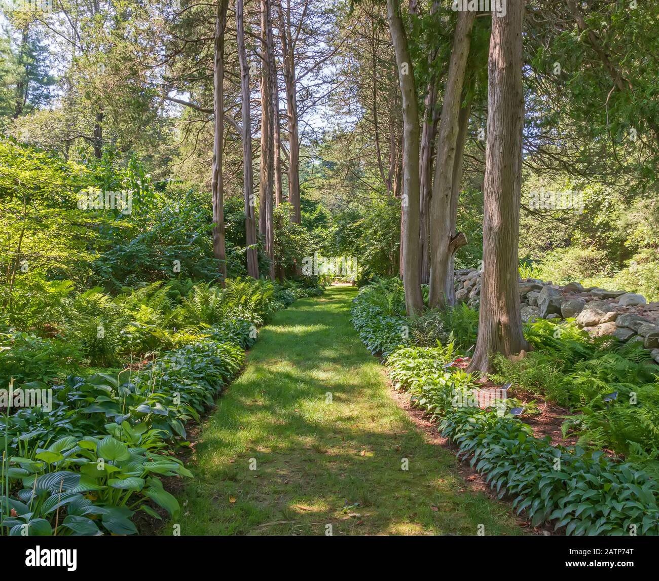 Arboretum pathway in forest setting Stock Photo - Alamy
