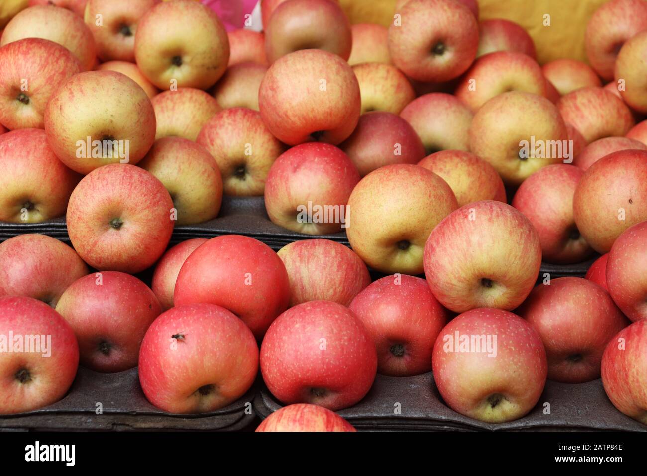 Apples in a fruit shop. Lots of apples Stock Photo - Alamy