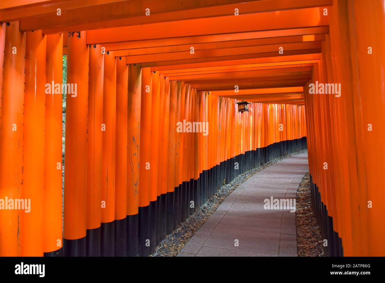 View of Fushimi Inari Grand Shrine Stock Photo - Alamy