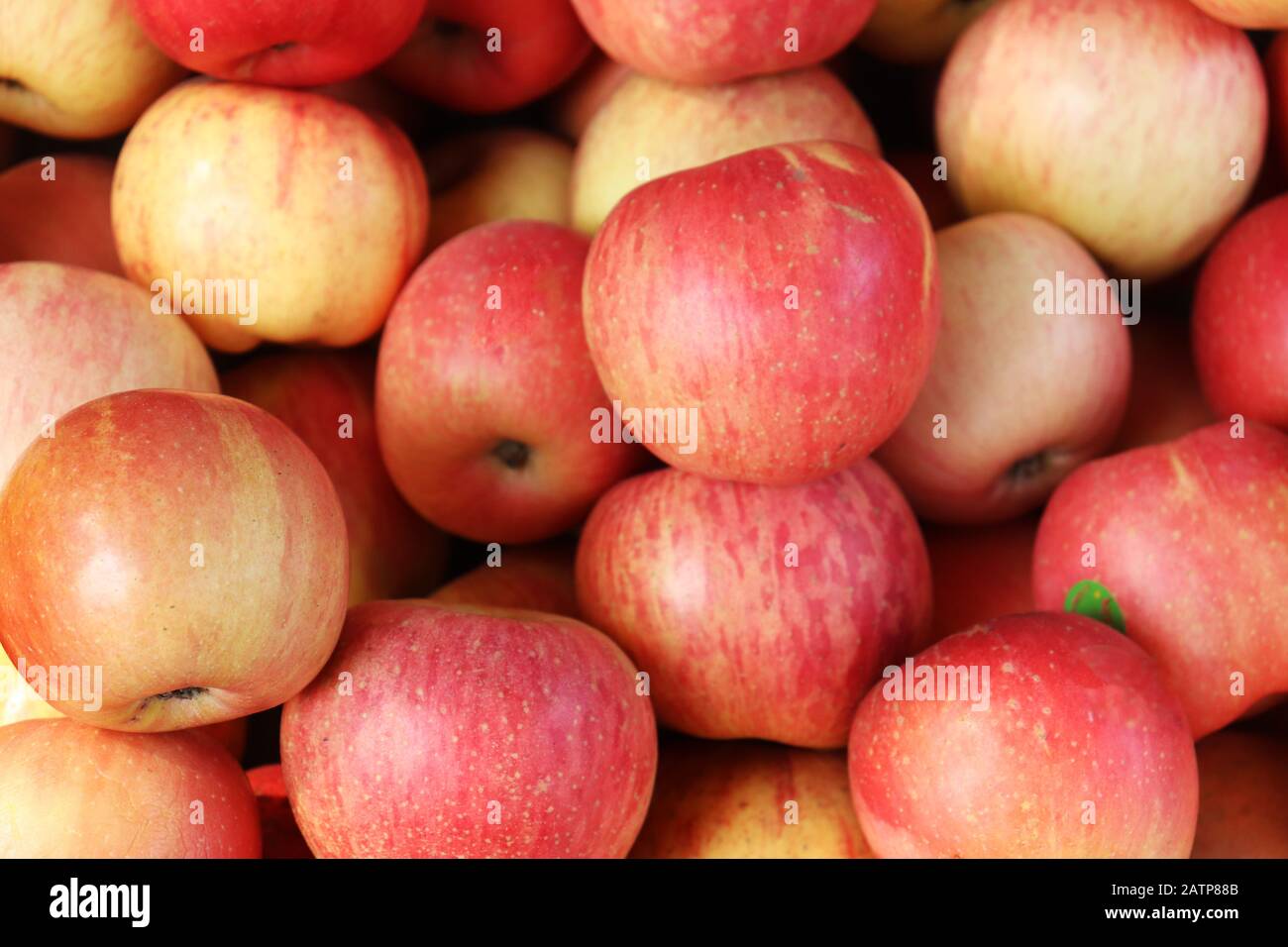 Red Apples. Apples in a fruit shop. Lots of apples Stock Photo - Alamy