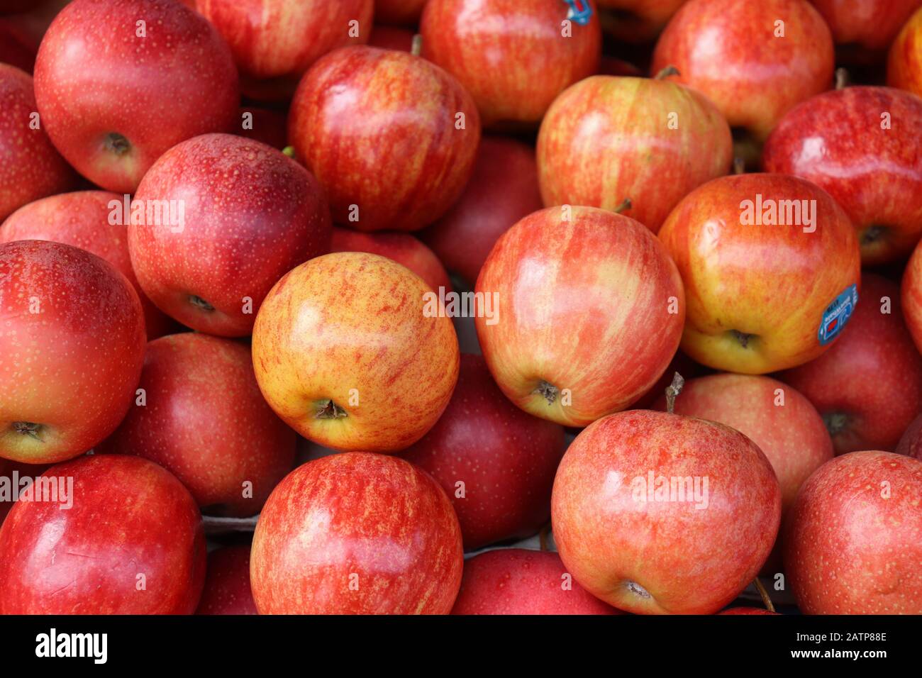 Red Apples. Apples in a fruit shop. Lots of apples Stock Photo - Alamy