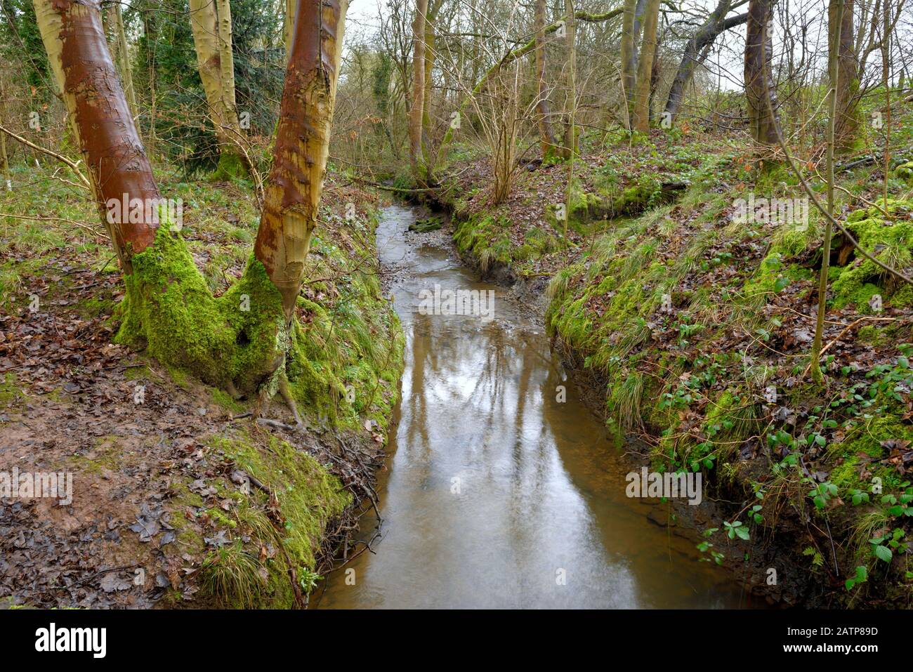 Mapperley hi-res stock photography and images - Alamy