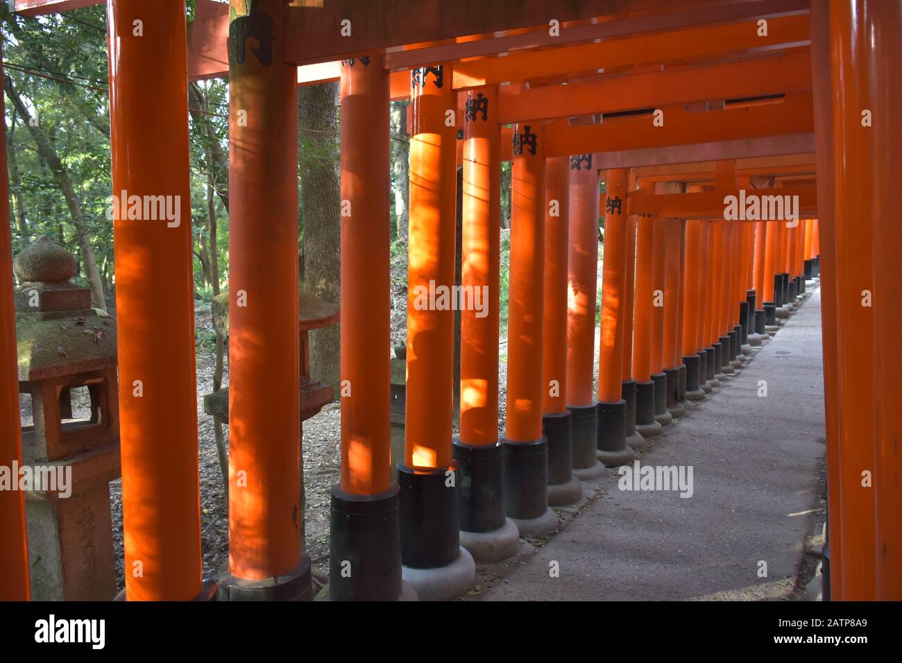 View of Fushimi Inari Grand Shrine Stock Photo - Alamy