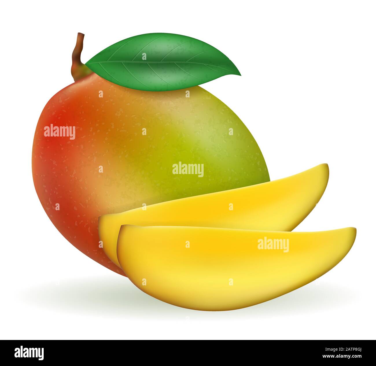 mango fresh ripe exotic fruit vector illustration isolated on white ...