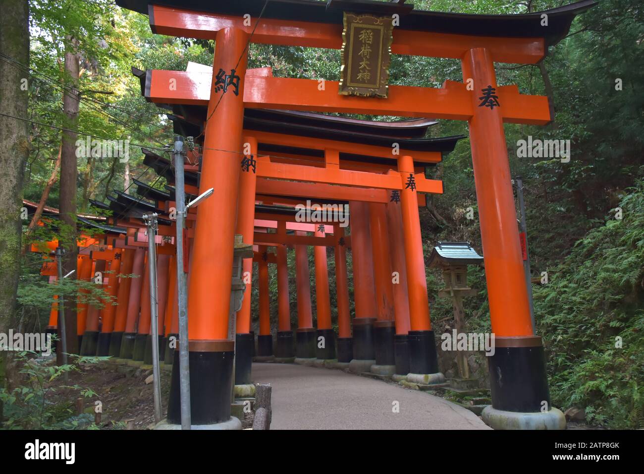 View of Fushimi Inari Grand Shrine Stock Photo - Alamy