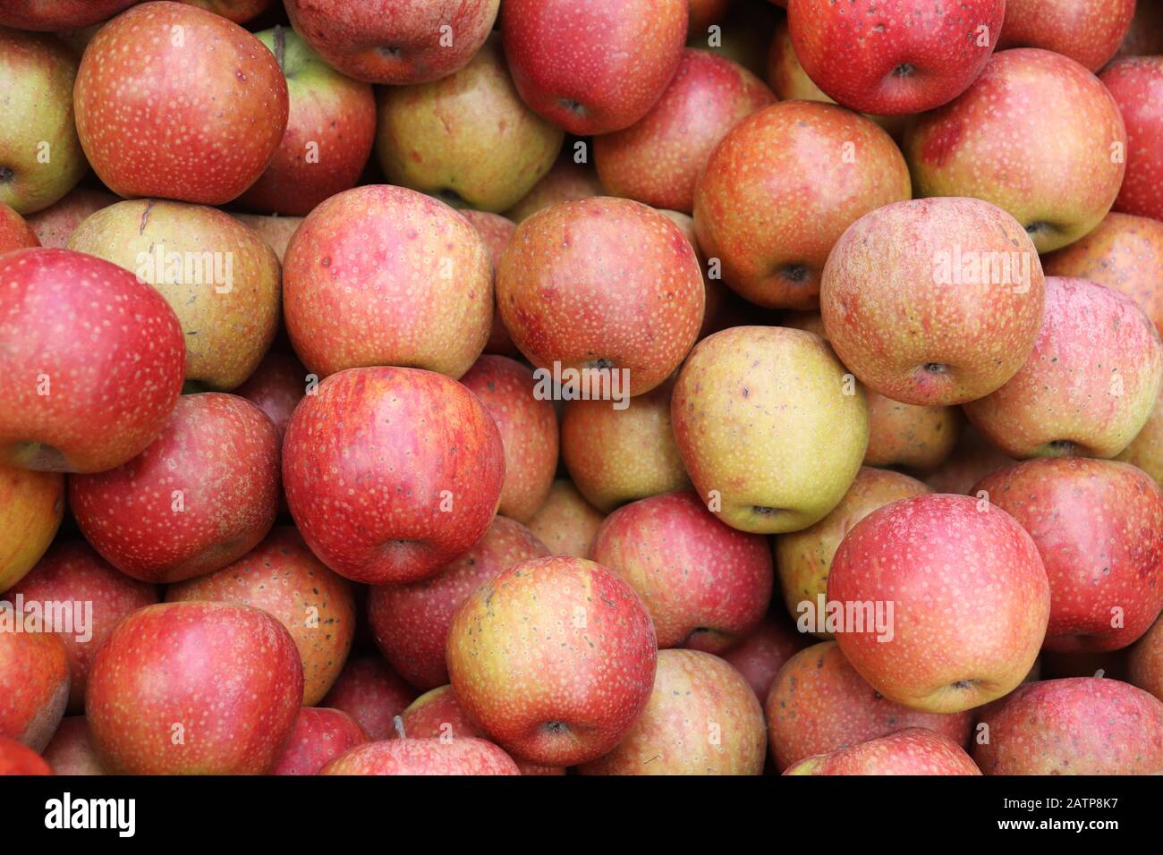 Apples. Lots of apples in a fruit shop Stock Photo - Alamy