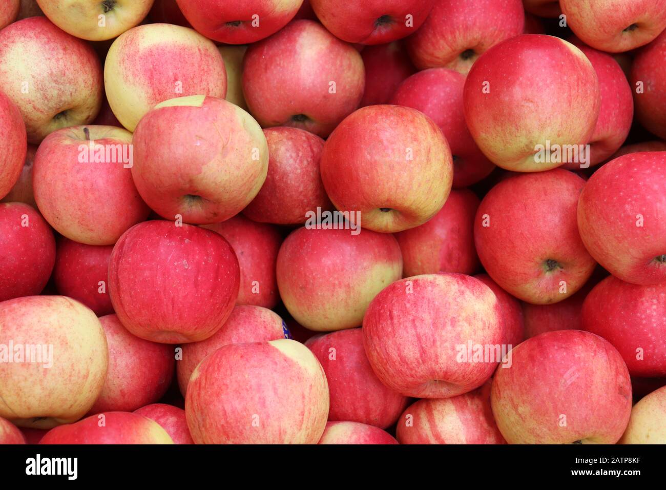Apples backgrounds. Lots of apples in a fruit shop Stock Photo - Alamy