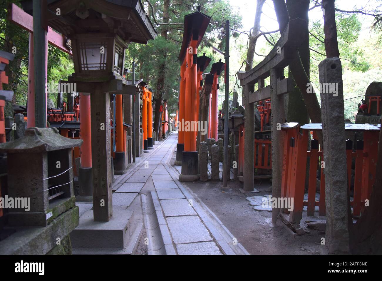View of Fushimi Inari Grand Shrine Stock Photo - Alamy