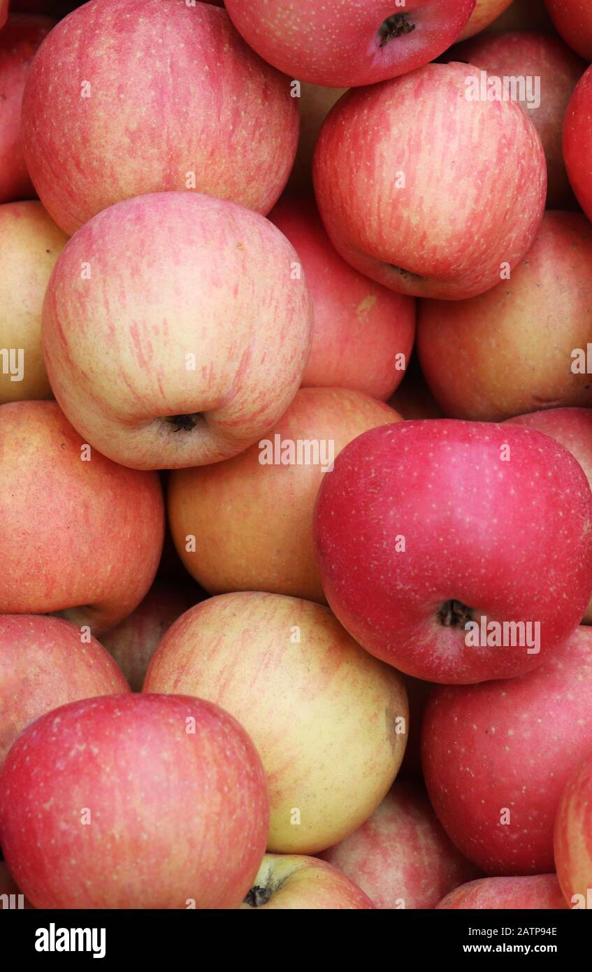 Apples in a fruit shop. Lots of apples Stock Photo - Alamy