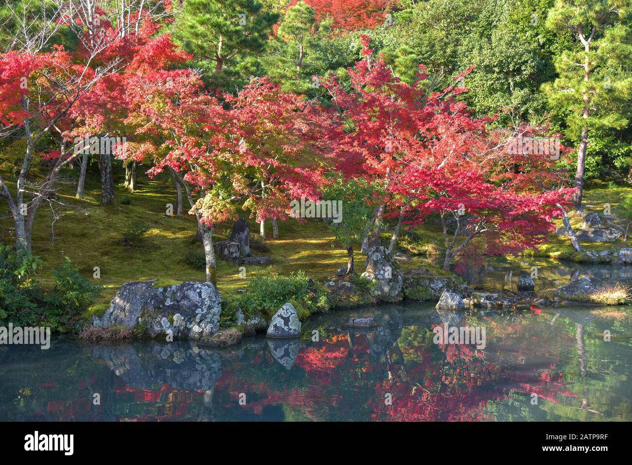 Sogen pond garden of Tenryu ji in Kyoto, Japan Stock Photo - Alamy