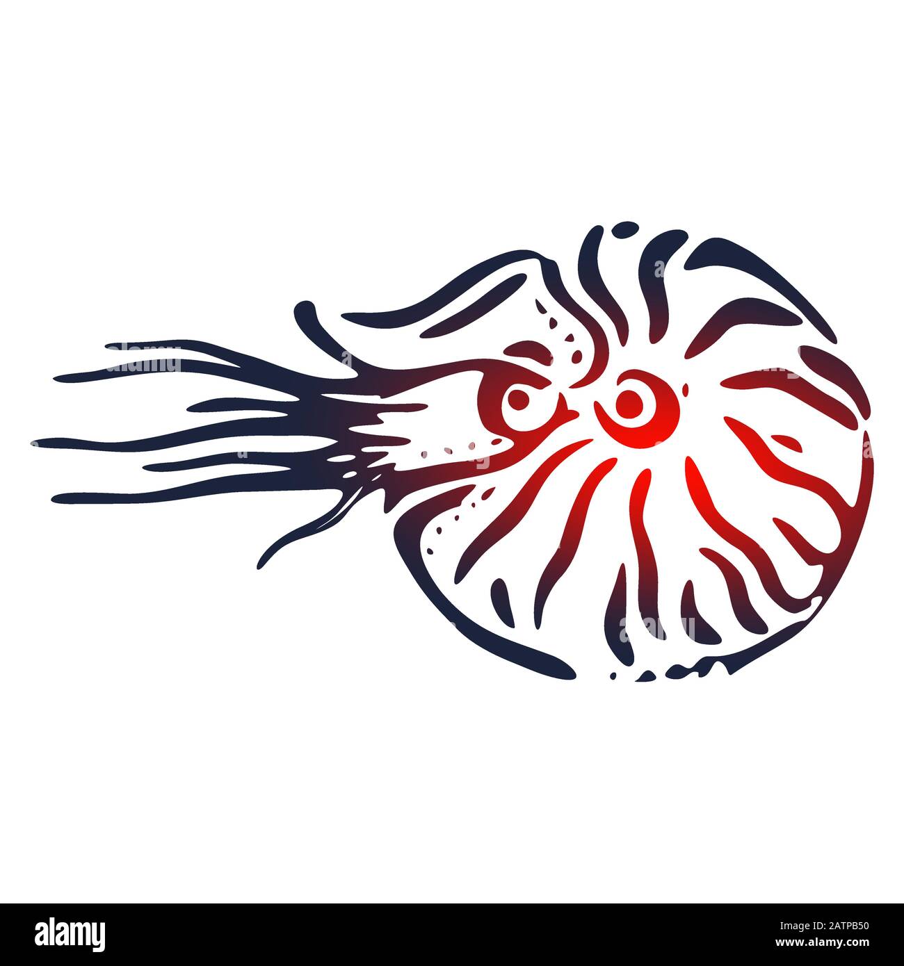 Nautilus drawing Stock Vector Images - Alamy