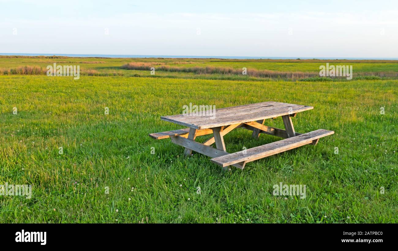 Table in grass hi-res stock photography and images - Alamy