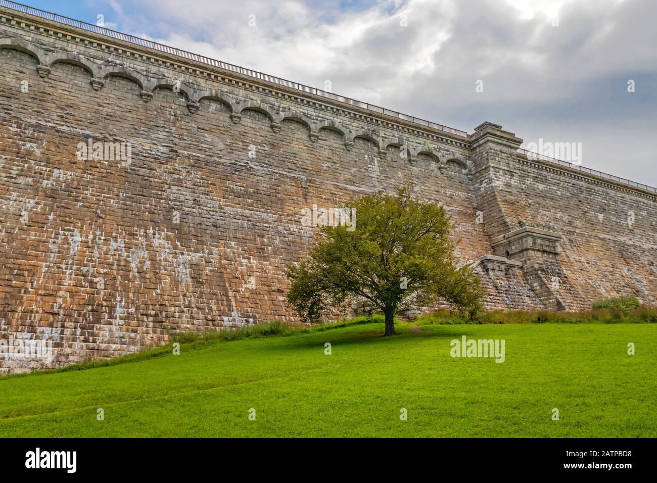 Lone tree Dam Wall Stock Photo - Alamy