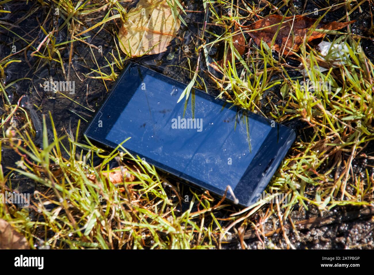 The touch mobile phone lies in a puddle Stock Photo - Alamy