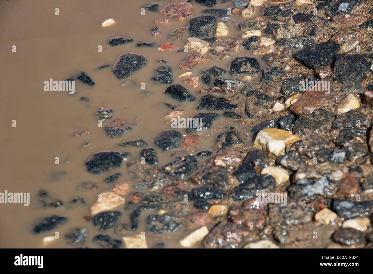 Stones in a puddle of dirty water Stock Photo - Alamy