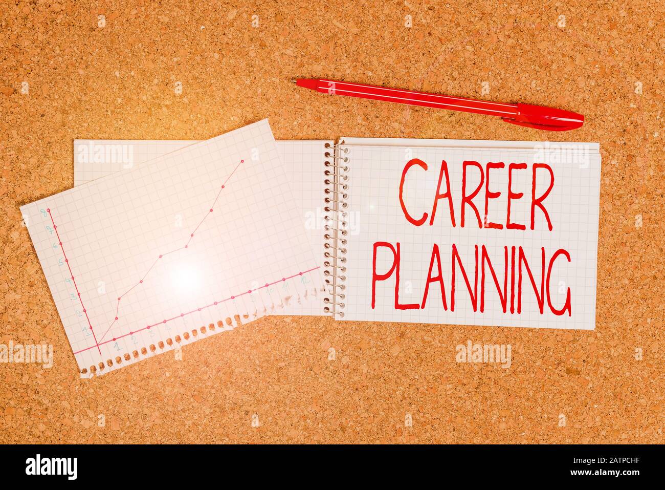 Conceptual hand writing showing Career Planning. Concept meaning ...