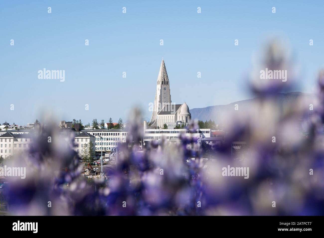 Lupine tower hi-res stock photography and images - Alamy