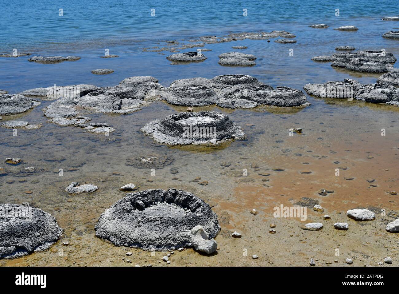 Stromatolites hi-res stock photography and images - Alamy