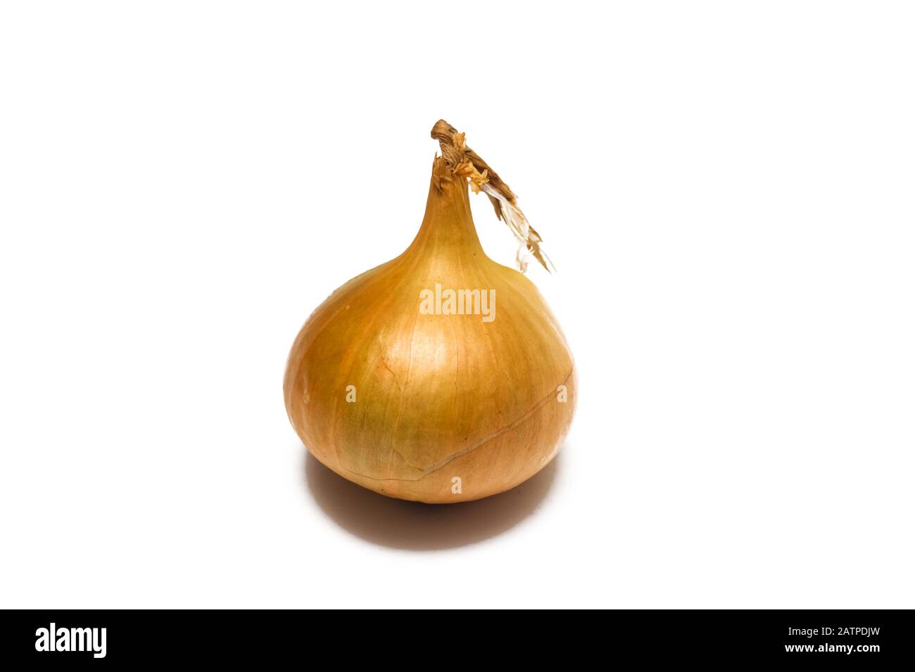 Head of onion, isolated on a white background Stock Photo - Alamy