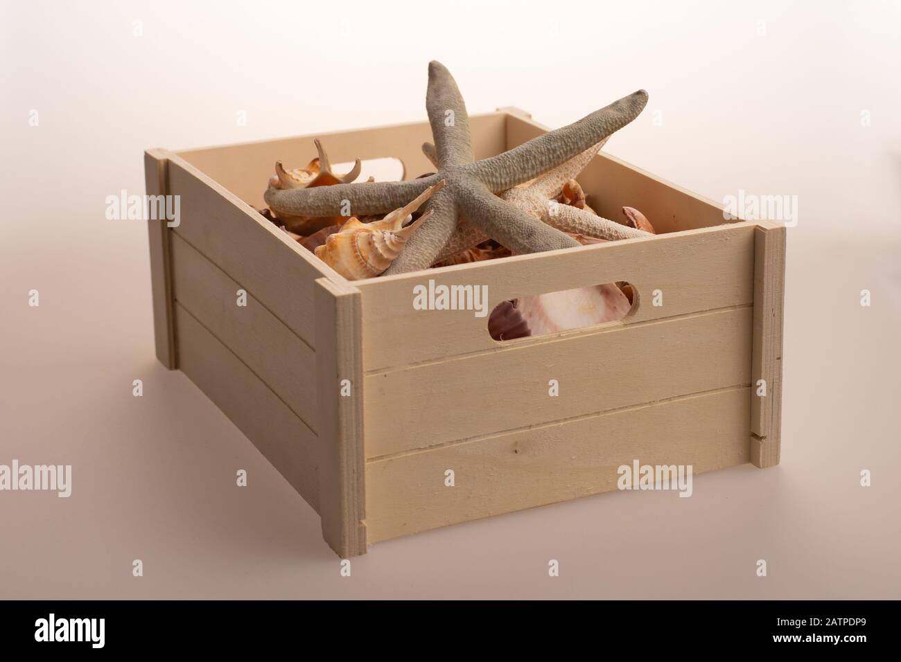 Wooden box with shells on a white background. Sea treasures in a box ...