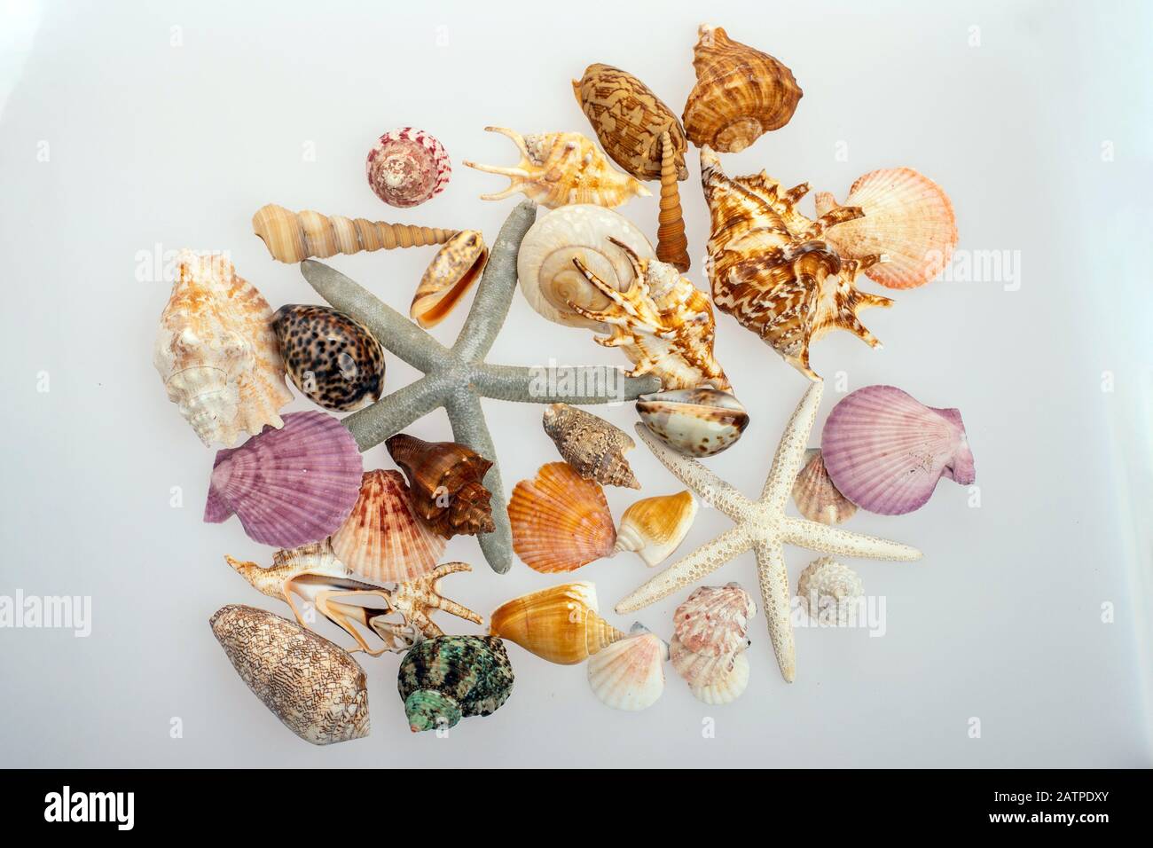 Everyone is different hi-res stock photography and images - Alamy
