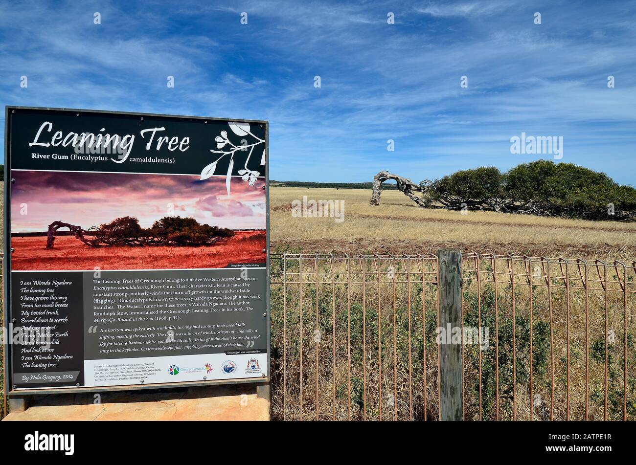 The leaning tree hi-res stock photography and images - Alamy