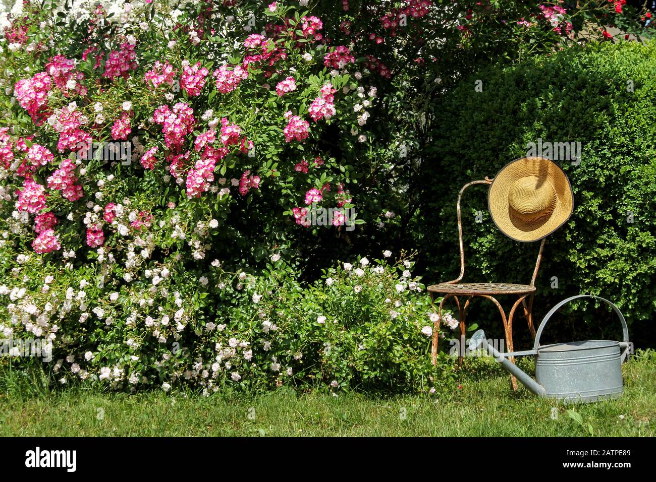 Garden idyll hi-res stock photography and images - Alamy