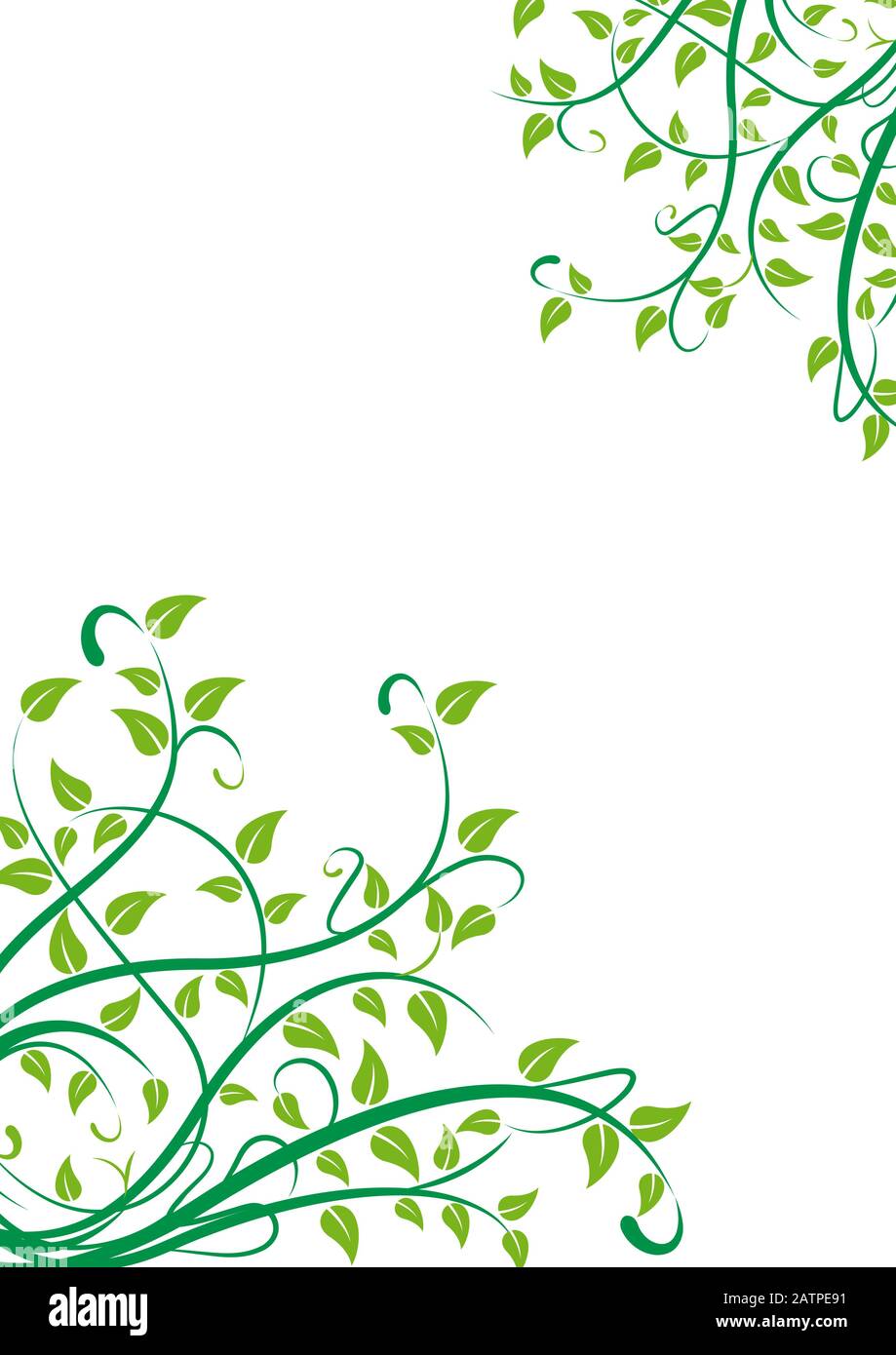 Spring background concept. Plants and foliage on white Stock Vector ...