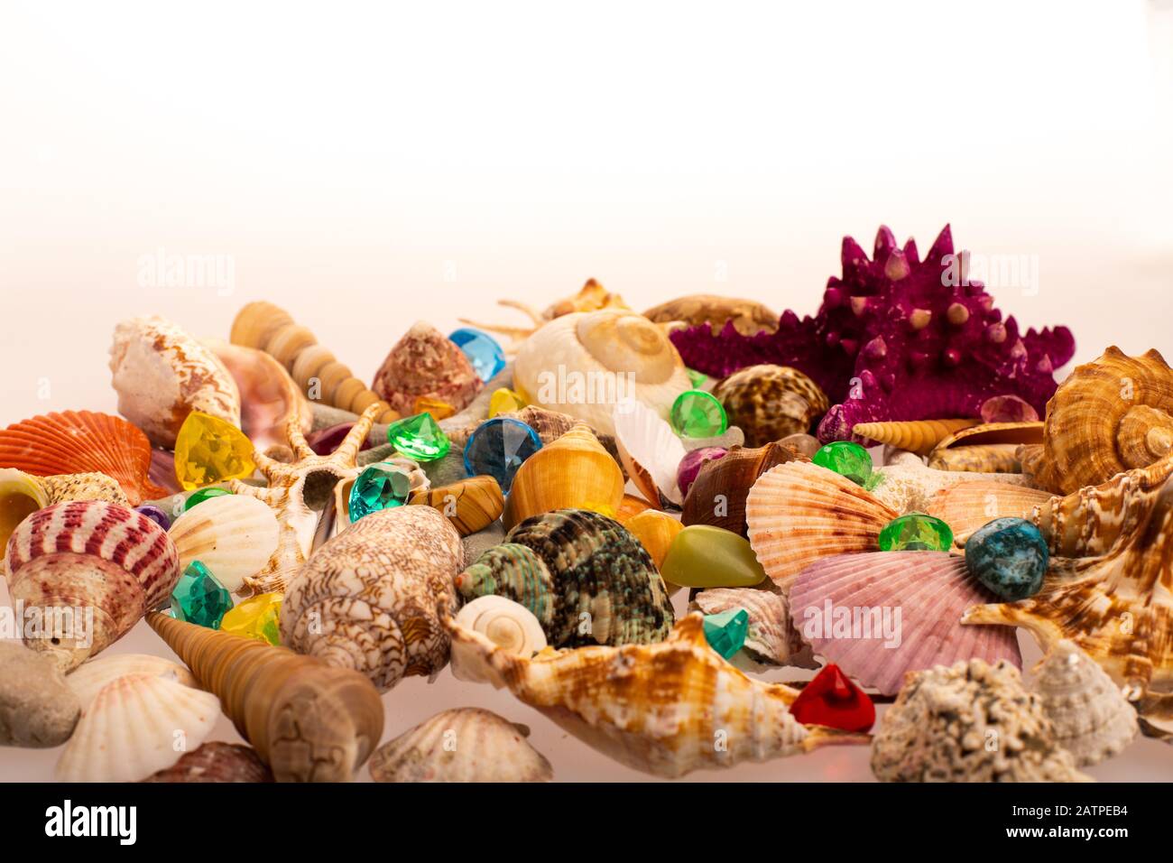 The seabed where the sea treasure lies. Beautiful shells with multi ...