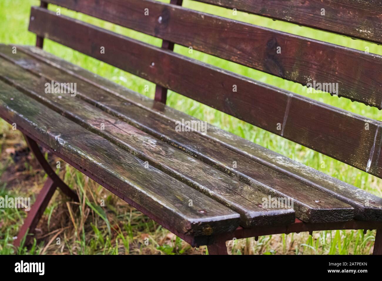 Wooden bench in park in the rain Stock Photo - Alamy