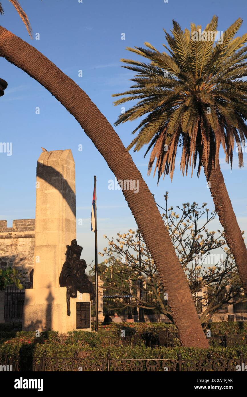 Cuba, Havana, palm trees Stock Photo - Alamy