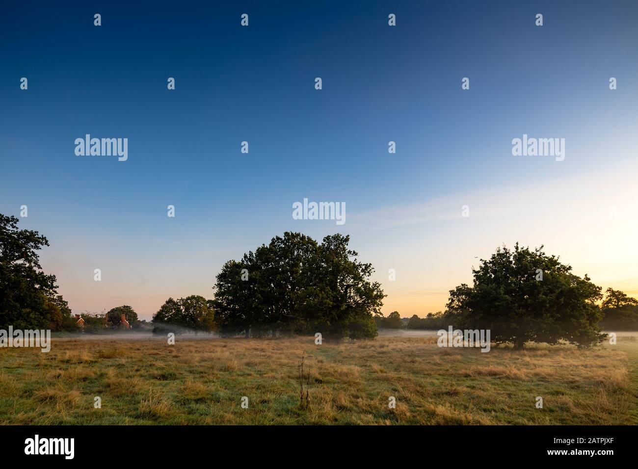 Woking town hall town centre hi-res stock photography and images - Alamy