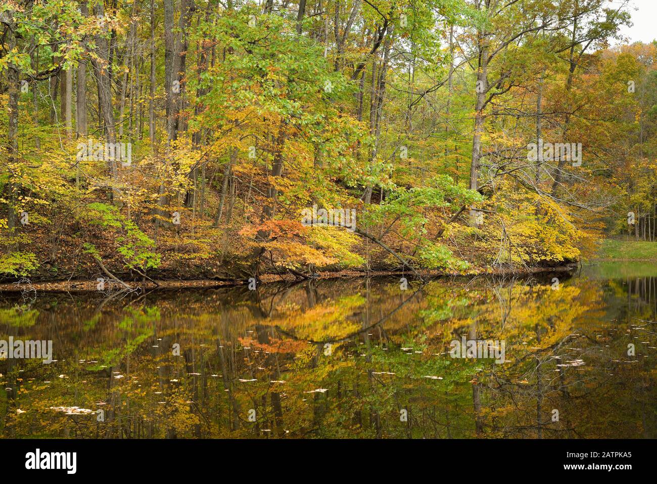 Vivid fall colors hi-res stock photography and images - Alamy