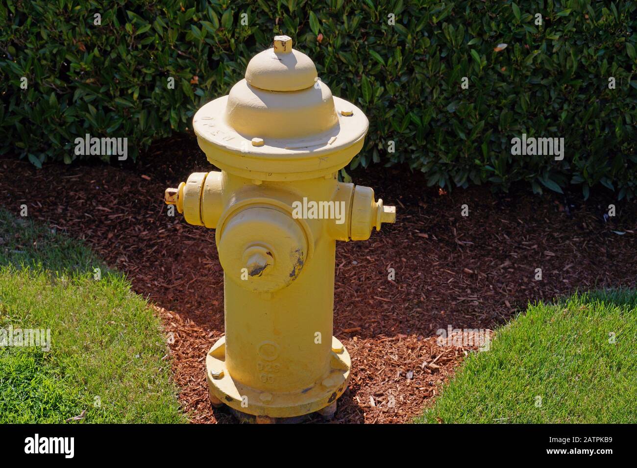 A fragment of the garden. Yellow fire hydrant Stock Photo - Alamy