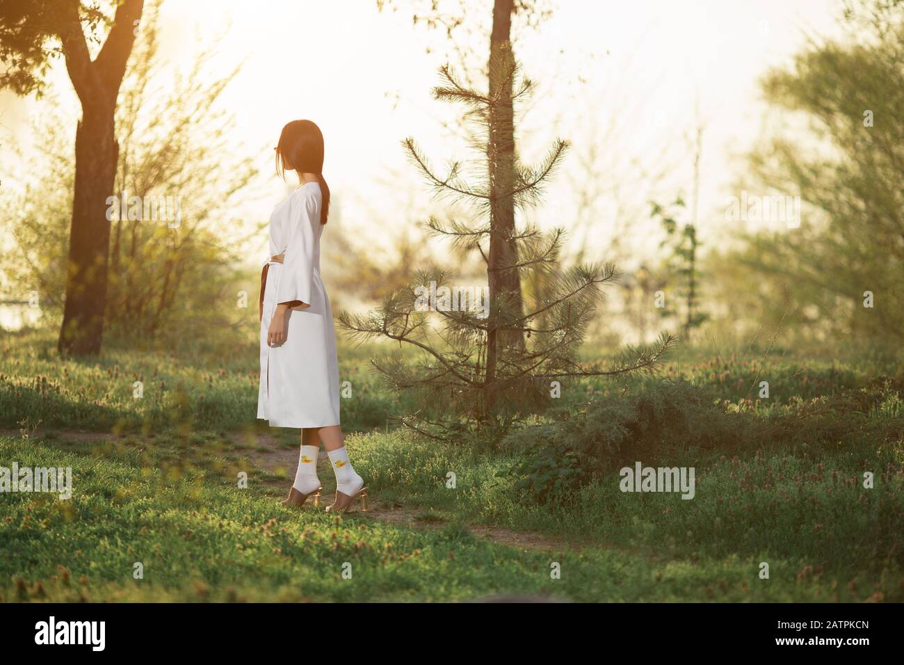 Geisha japan and back view hi-res stock photography and images - Alamy