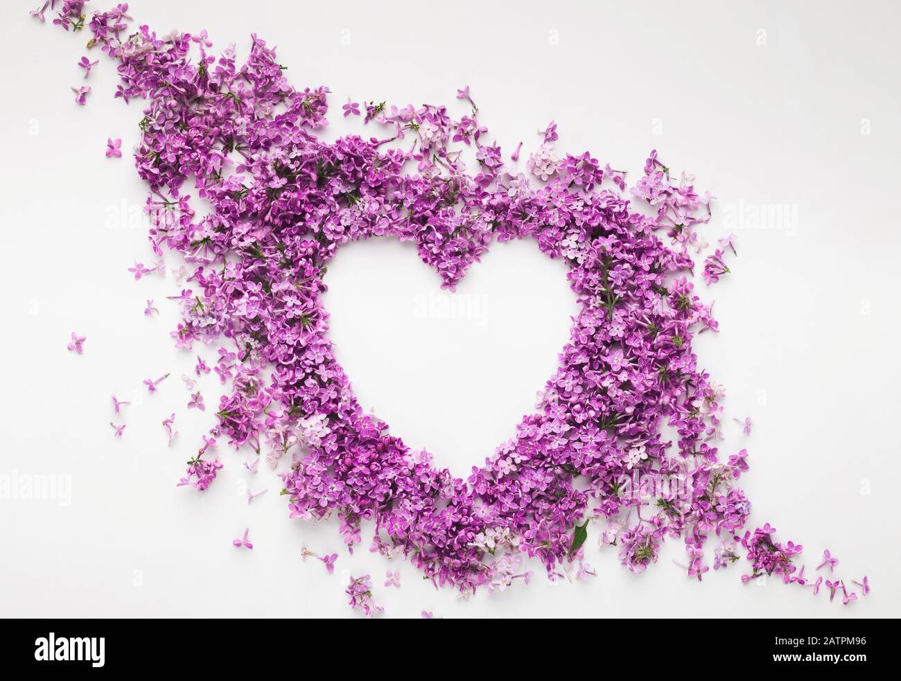 Lilac flowers in heart shape isolated on white, spring love concept ...