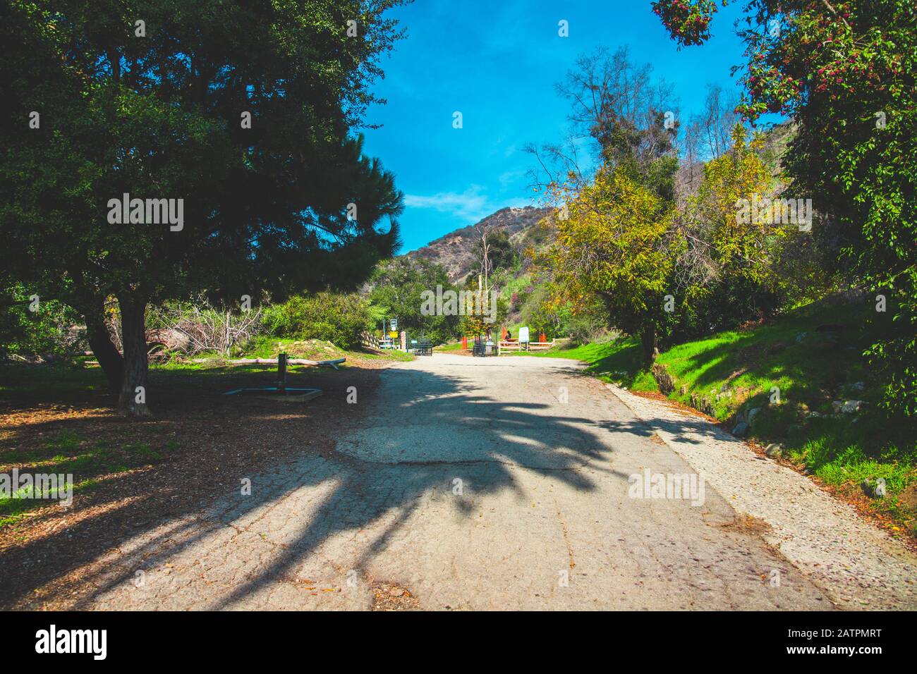 Runyon canyon park hi-res stock photography and images - Alamy