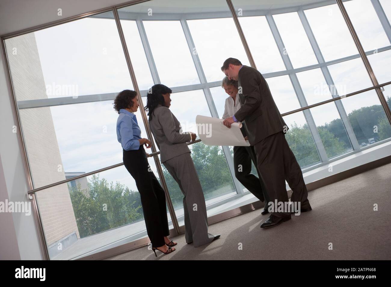 Business people looking documents hi-res stock photography and images ...