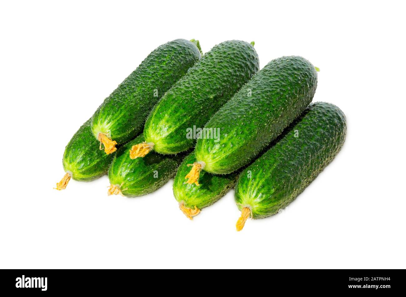 Fresh cucumbers isolated on white. Heap of cucumber. Fresh green raw ...